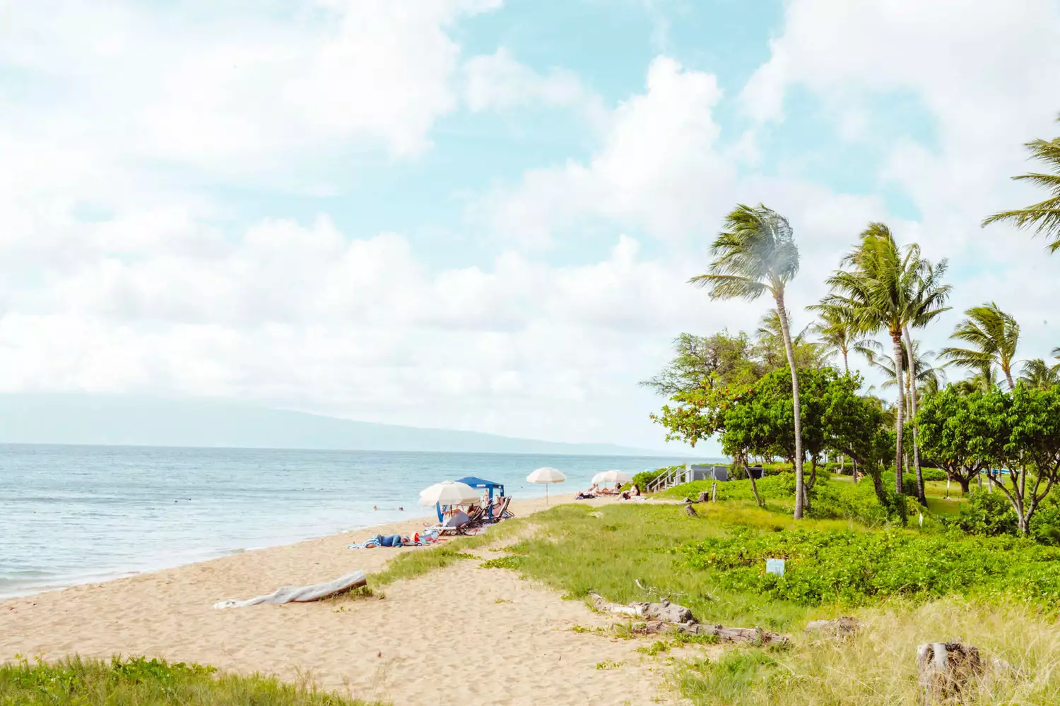 20 Activités Incontournables à Maui: Plages et Randonnées - Découverte